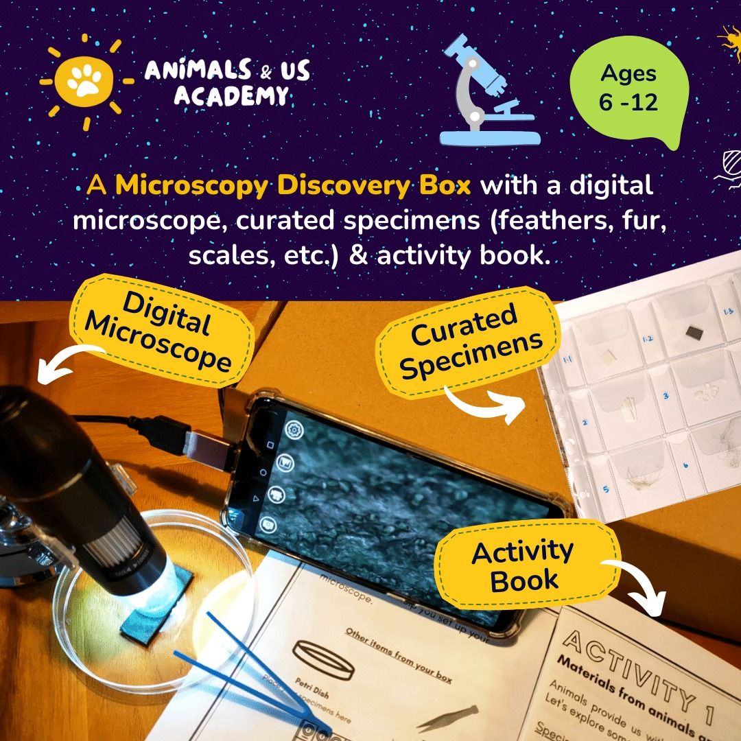 Microscopy Discovery Kit for Children - Explore the Wonders of the ...