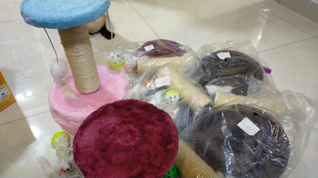 Small Scratching Post, Pet Supplies, Homes & Other Pet Accessories on ...