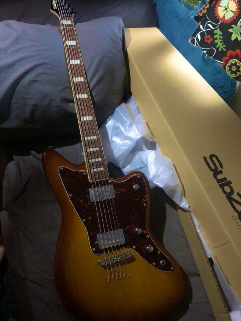 SubZero Rogue VI Baritone Electrice Guitar, Tobacco Sunset, Hobbies ...