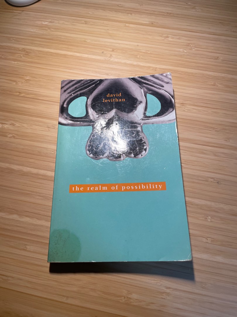 The Realm of Possibility by David Levithan, Hobbies & Toys, Books ...