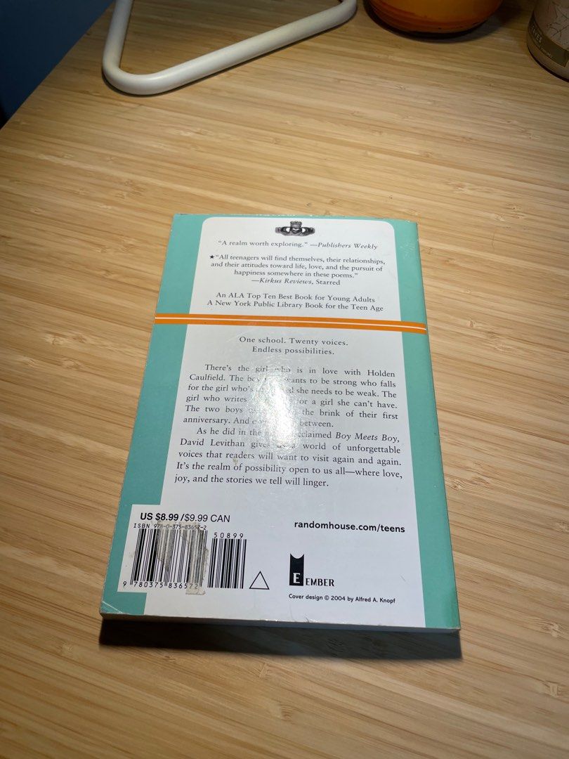 The Realm of Possibility by David Levithan, Hobbies & Toys, Books ...