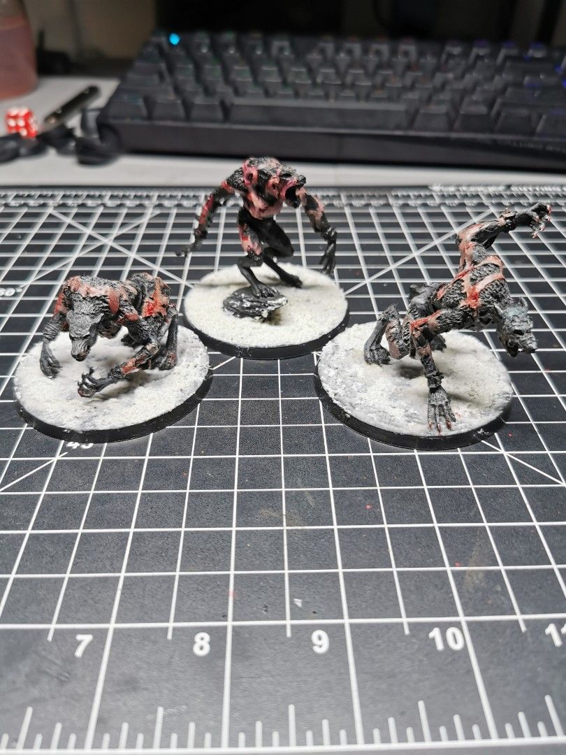 warhammer aos skin wolves, Hobbies & Toys, Toys & Games on Carousell