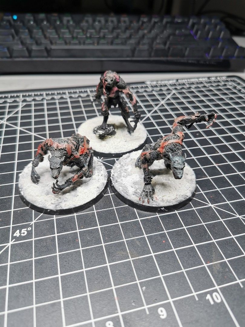 warhammer aos skin wolves, Hobbies & Toys, Toys & Games on Carousell