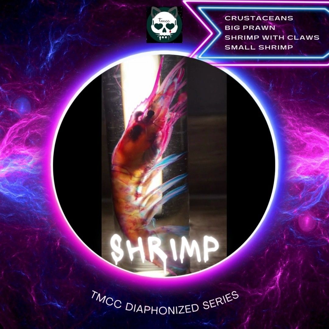 Diaphonized shrimp prawn red pistol novelty gifts rainbow bones aquatic ...