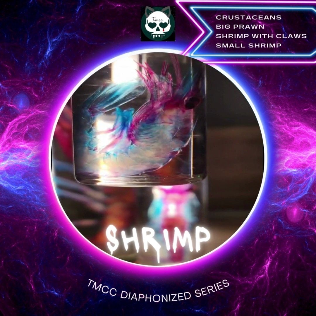 Diaphonized shrimp prawn red pistol novelty gifts rainbow bones aquatic ...