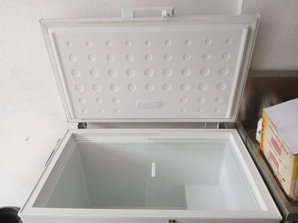 Fujidenzo 11 cu.ft HD Inverter Chest Freezer IFC-110GDF, TV & Home ...