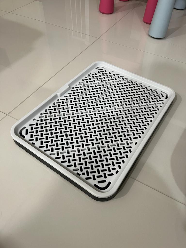 Pee Tray, Pet Supplies, Homes & Other Pet Accessories on Carousell