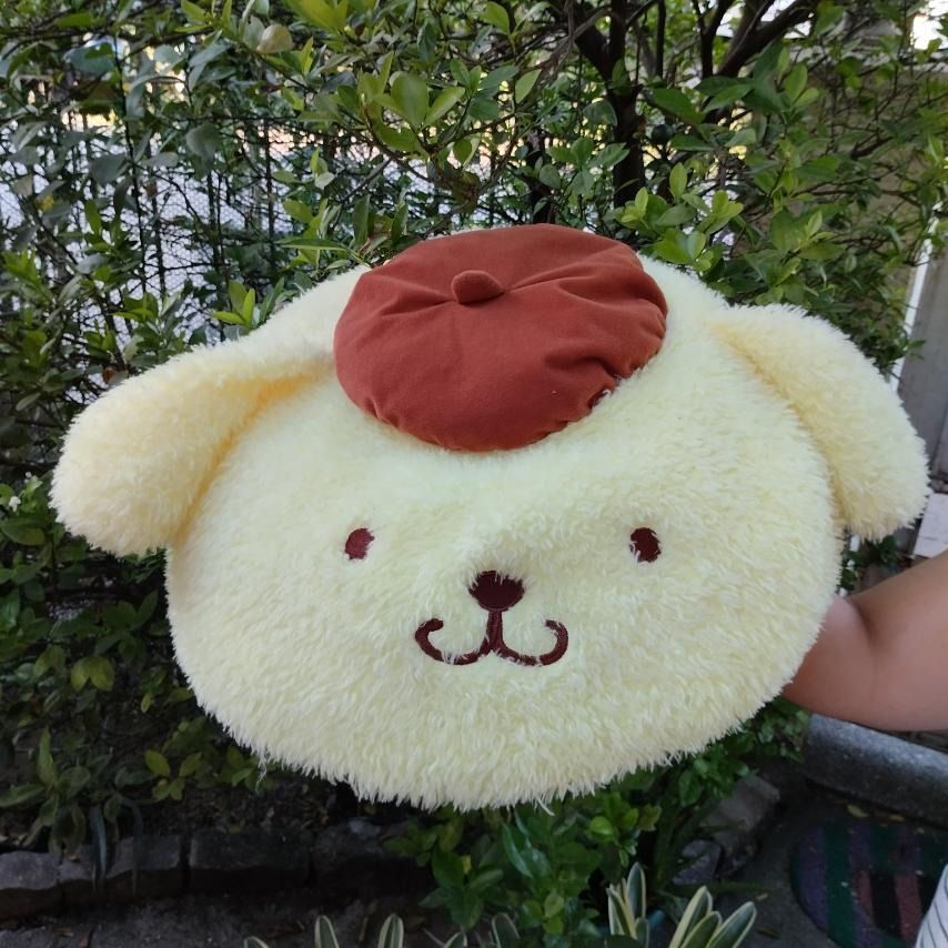 SANRIO Pompompurin Face Plush, Hobbies & Toys, Toys & Games on Carousell