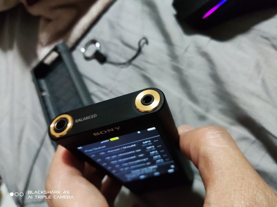 SONY NW-ZX300 (Walkman), Audio, Portable Music Players on Carousell