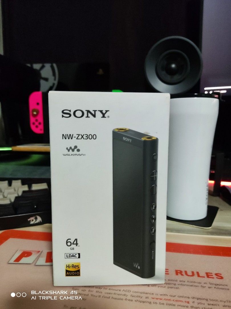 SONY NW-ZX300 (Walkman), Audio, Portable Music Players on Carousell