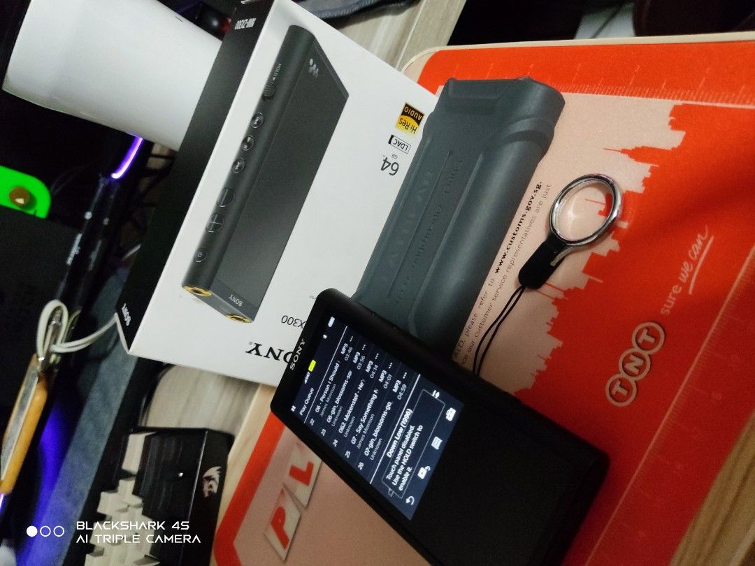 SONY NW-ZX300 (Walkman), Audio, Portable Music Players on Carousell