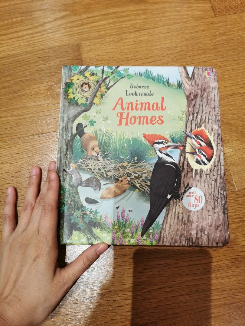 Usborne look inside animal homes, Hobbies & Toys, Books & Magazines ...