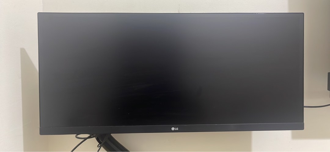 29 inch LG Ultrawide Monitor + FREE Vesa mount on Carousell