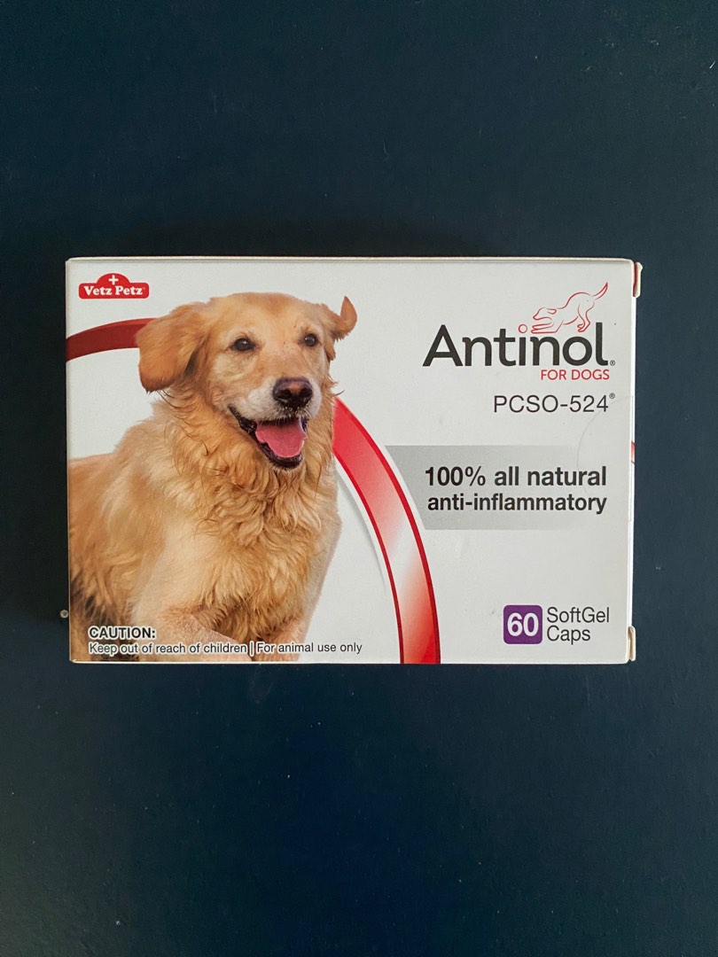 Antinol for dogs - New Box 60 Softgel Capsules, Pet Supplies, Health ...