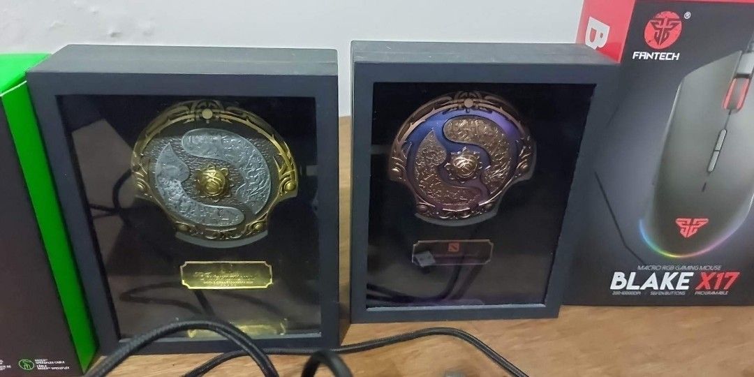 DOTA 2 Aegis Replica ( TI 9 & 10), Hobbies & Toys, Memorabilia ...
