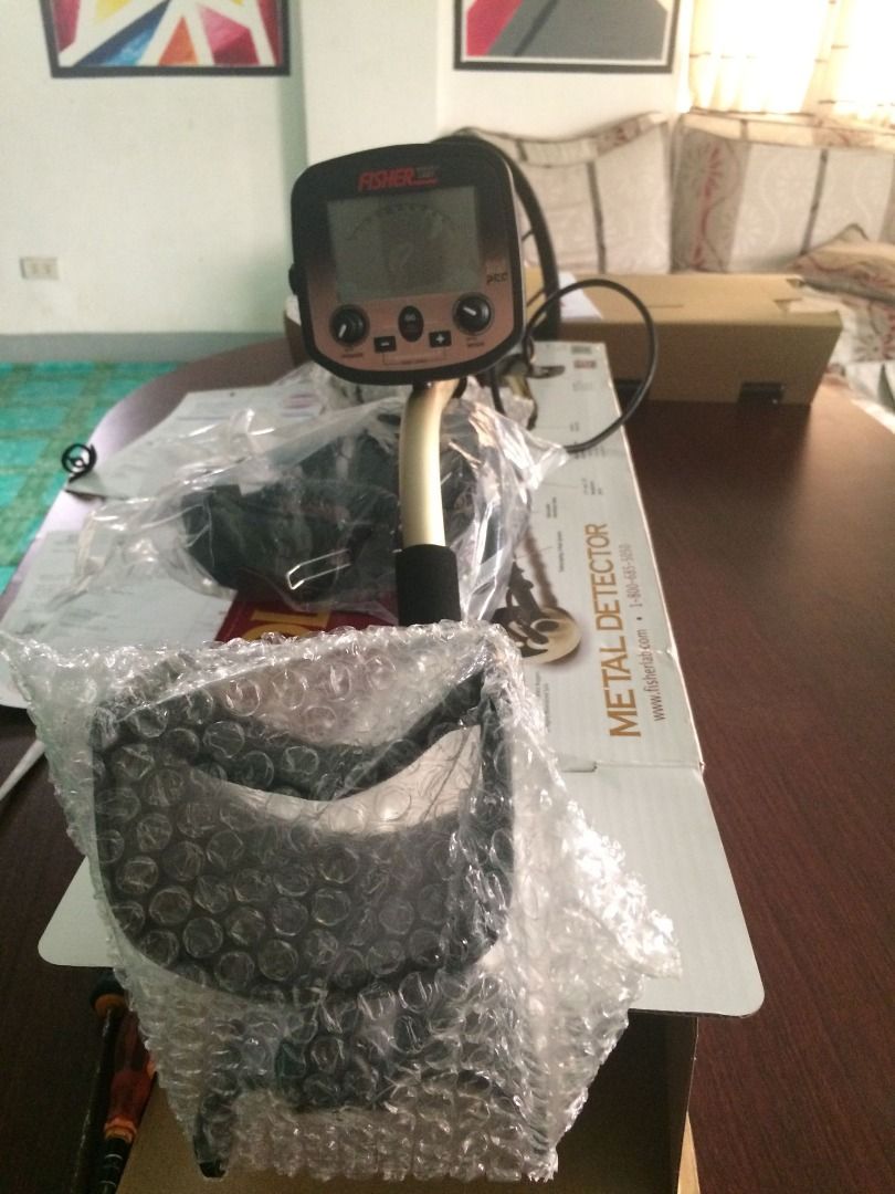 Fisher Gold Bug Pro Digital Scanner Gold and Metal Detector on hand ...