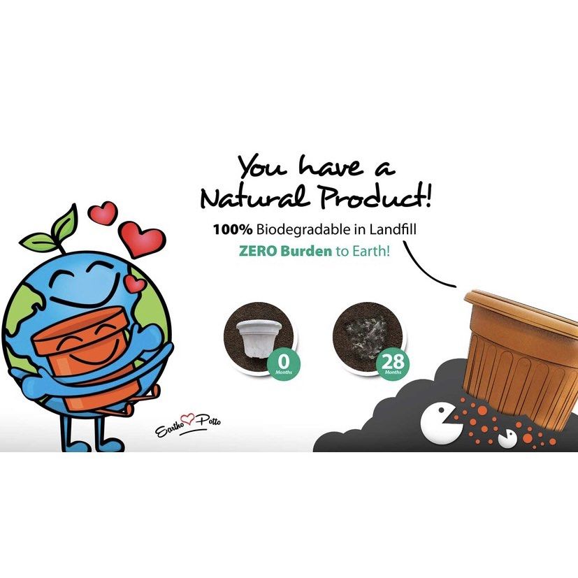 Mr Ganick Scale Terminator (500ML), Furniture & Home Living, Gardening ...