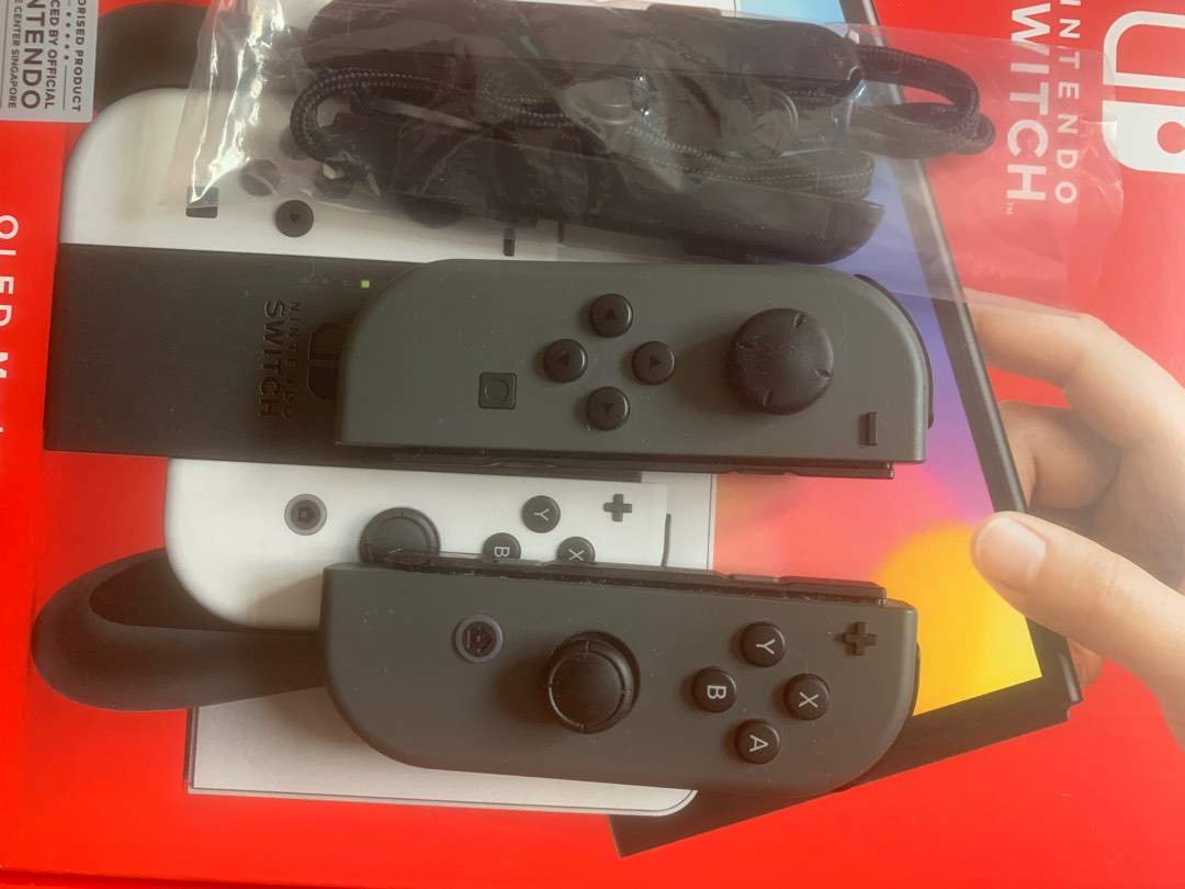 Nintendo Switch Gray Joycon, Video Gaming, Gaming Accessories ...