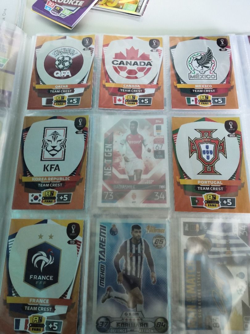 Panini some country flag logo, Hobbies & Toys, Toys & Games on Carousell