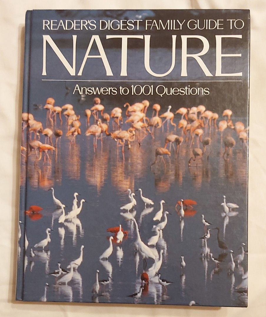 Readers Digest Family Guide to Nature, Hobbies & Toys, Books ...