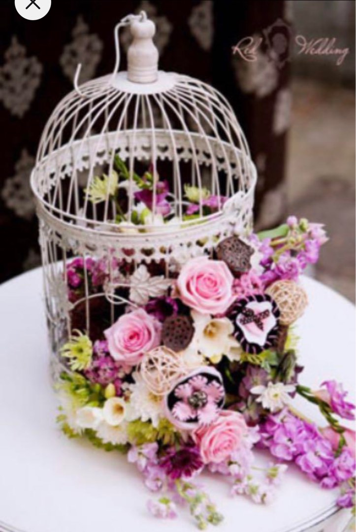 Romantic bird cage display, Hobbies & Toys, Stationery & Craft ...