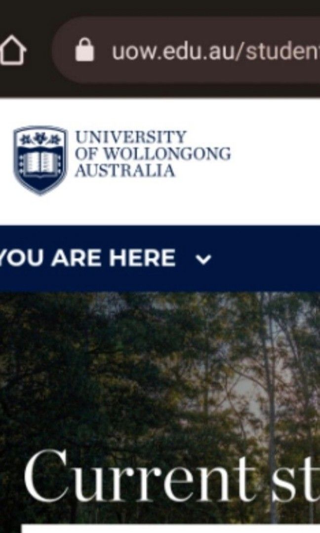 SIM UOW computer science assignment, Hobbies & Toys, Books & Magazines ...