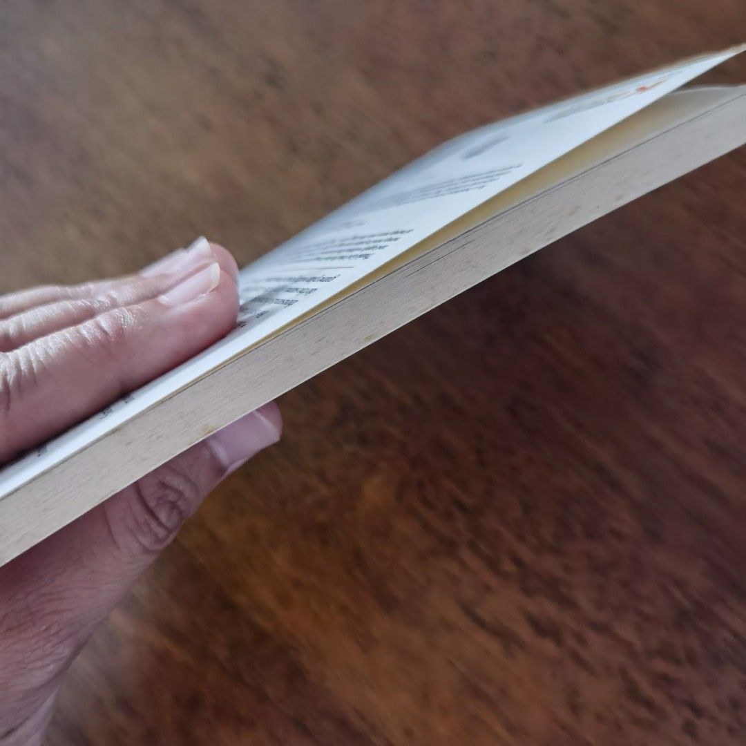 The Turtle Always Wins by Bo Sanchez, Hobbies & Toys, Books & Magazines ...