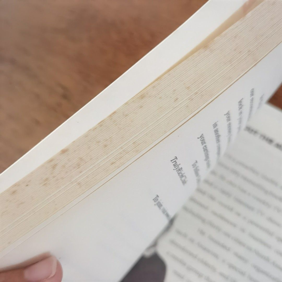 The Turtle Always Wins by Bo Sanchez, Hobbies & Toys, Books & Magazines ...