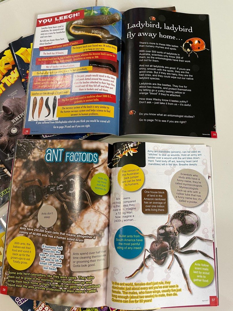 Wacky but true 9 copies, Hobbies & Toys, Books & Magazines, Children's ...