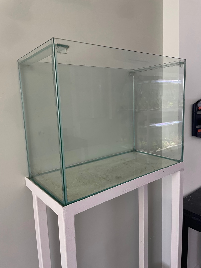 2ft fish tank, Pet Supplies, Homes & Other Pet Accessories on Carousell