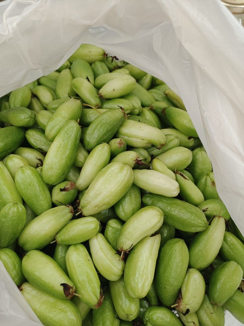 Bilimbi Fruits, Food & Drinks, Fresh Produce on Carousell