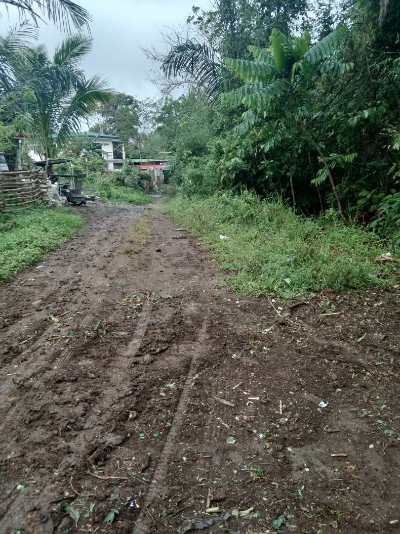 FARM LOT 500 sqm at Brgy. Kaytitinga Alfonso Cavite, Property, For Sale, Lot on Carousell