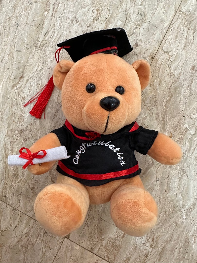 Graduation teddy bear, Hobbies & Toys, Toys & Games on Carousell