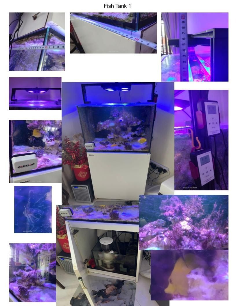 HAILEA HS SERIES CHILLER + Fish tank, Pet Supplies, Homes & Other Pet ...