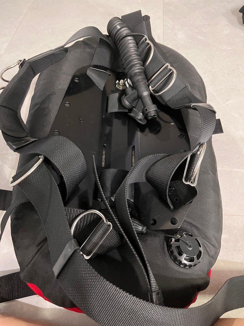 Hollis LX Wing 38 - Backplate and Wing, Sports Equipment, Sports ...