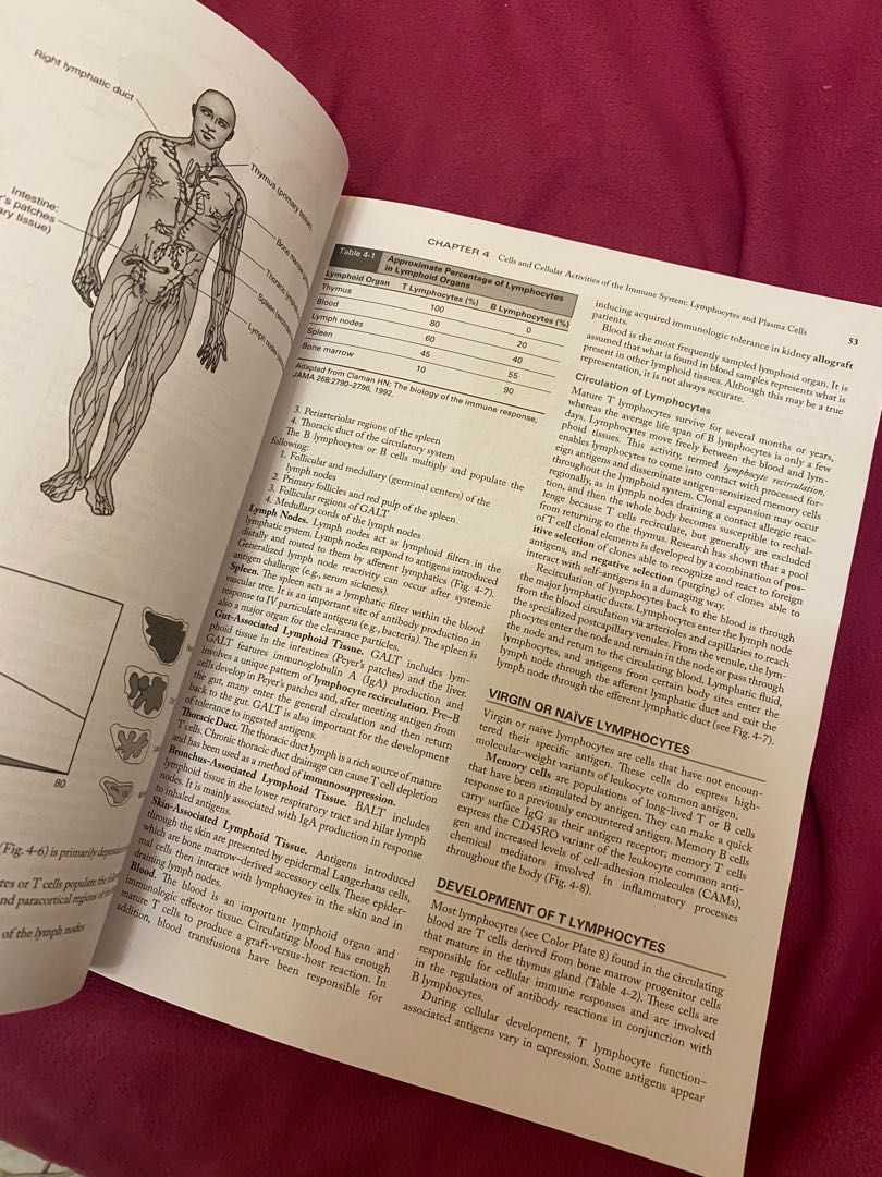 IMMUNOLOGY SEROLOGY BY TURGEON, Hobbies & Toys, Books & Magazines ...