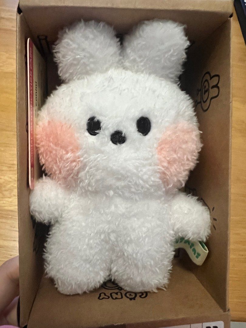LINE Choco Chonini Cony Conini Minini rabbit baby plush in box, Hobbies ...