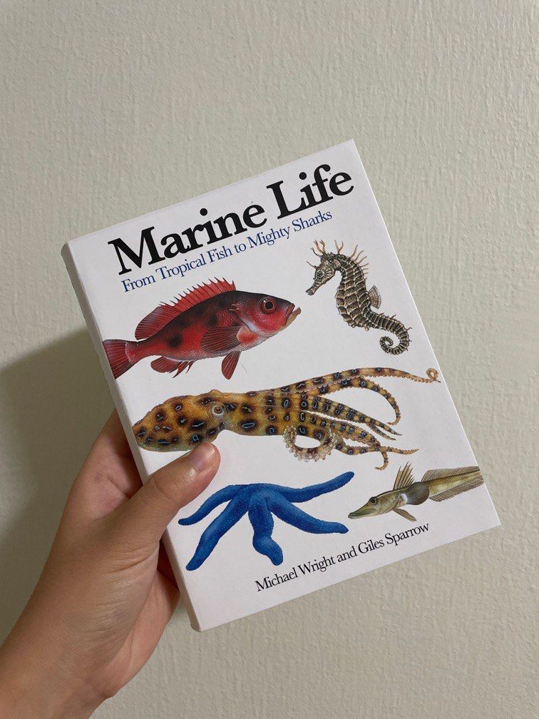 Marine Life Encyclopaedia, Hobbies & Toys, Books & Magazines, Children ...