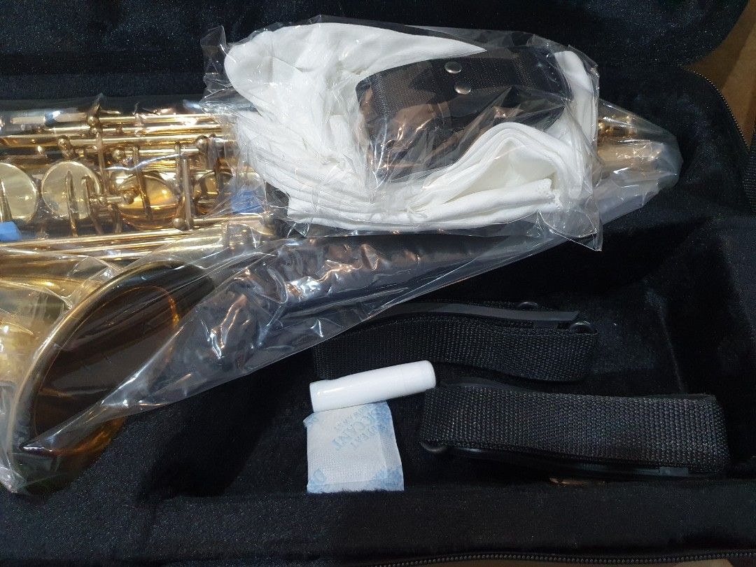 Original Thomson Alto Saxophone, Hobbies & Toys, Music & Media, Musical ...