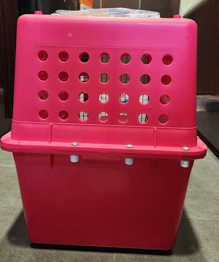 Pet travel crate (IATA approved Sky Crate), Pet Supplies, Homes & Other ...