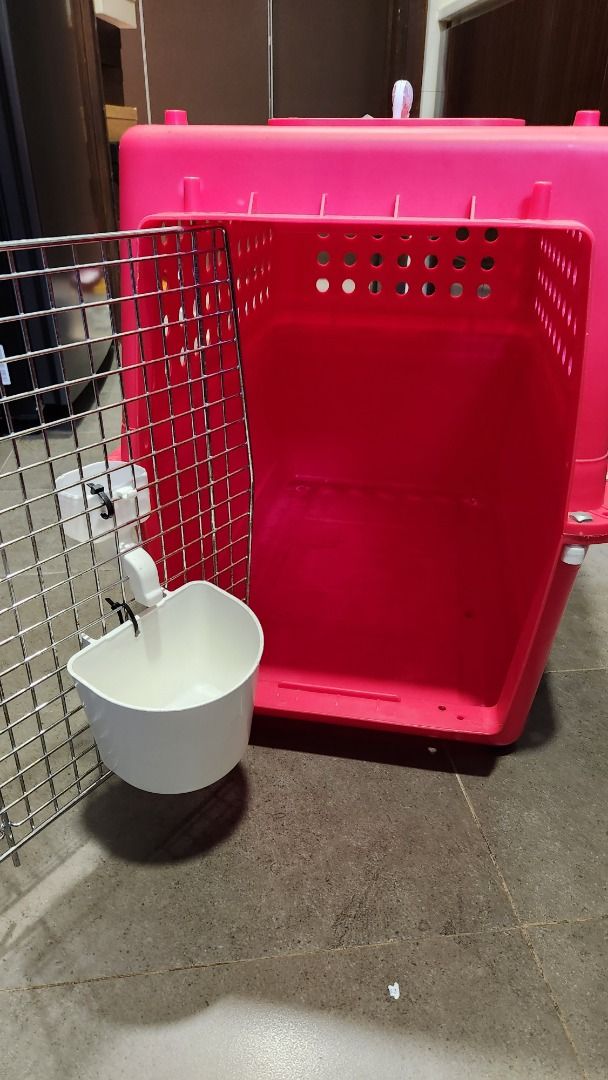 Pet travel crate (IATA approved Sky Crate), Pet Supplies, Homes & Other ...