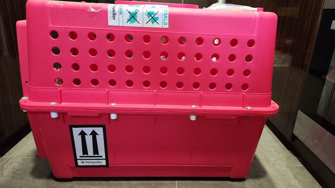 Pet travel crate (IATA approved Sky Crate), Pet Supplies, Homes & Other ...