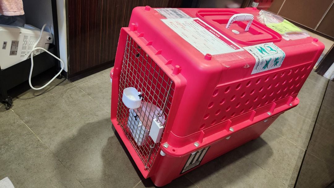 Pet travel crate (IATA approved Sky Crate), Pet Supplies, Homes & Other ...