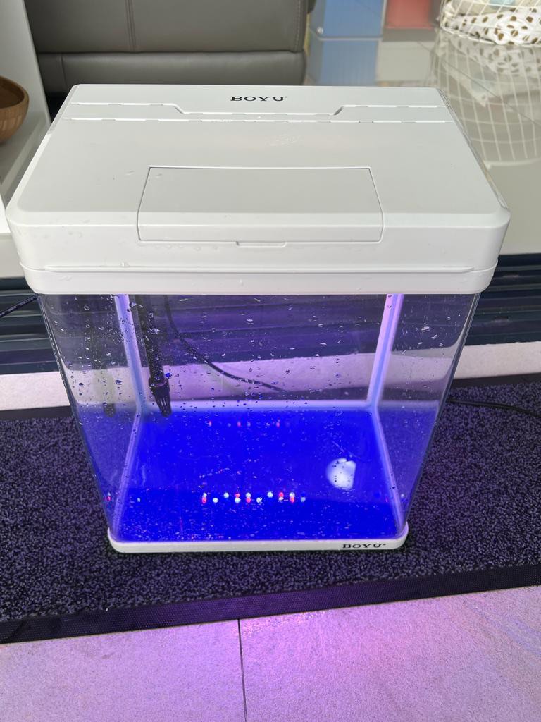 All-in-one starter aquarium (20L), Pet Supplies, Homes & Other Pet ...