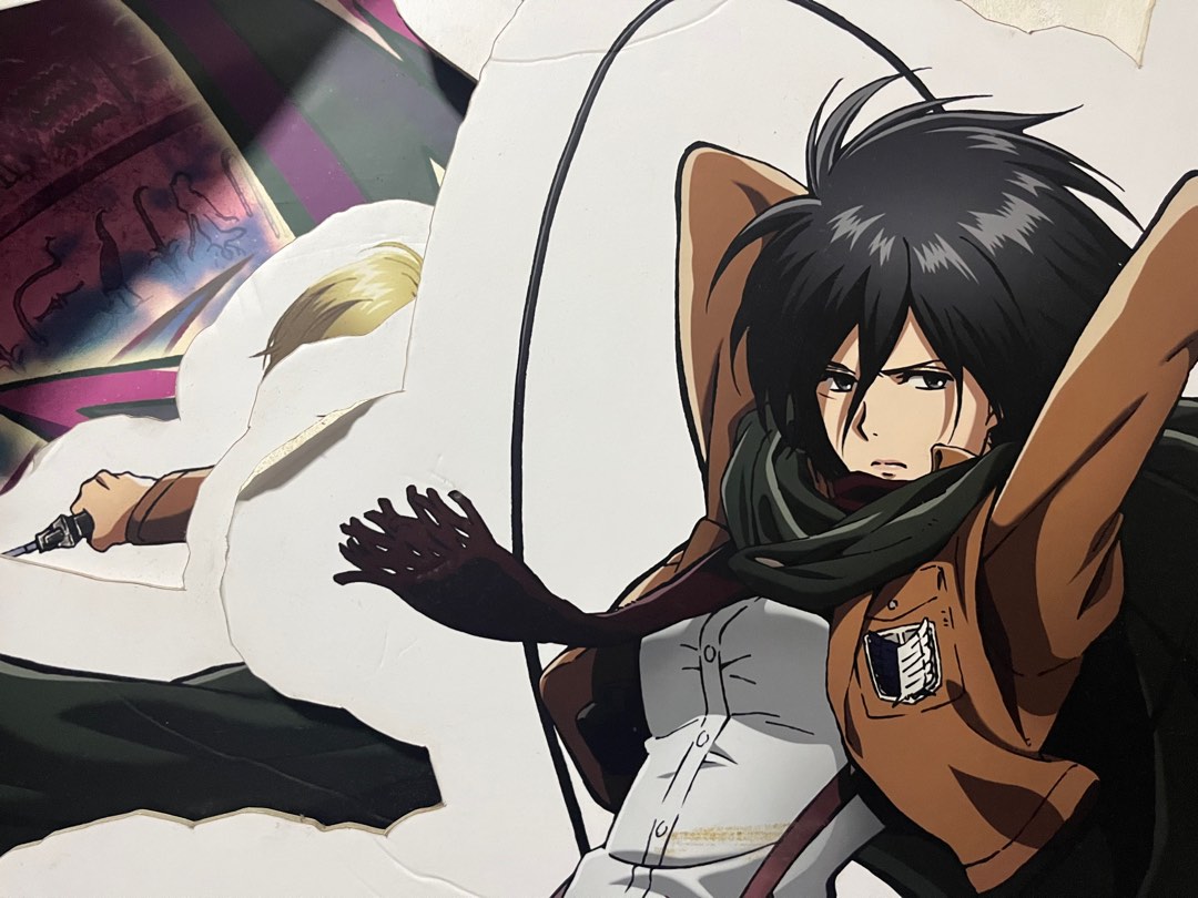 AOT Erwin life size Standee, Hobbies & Toys, Memorabilia & Collectibles ...