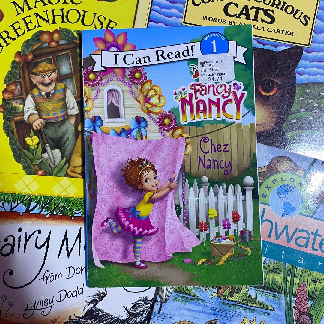 Fancy Nancy Storybook on Carousell
