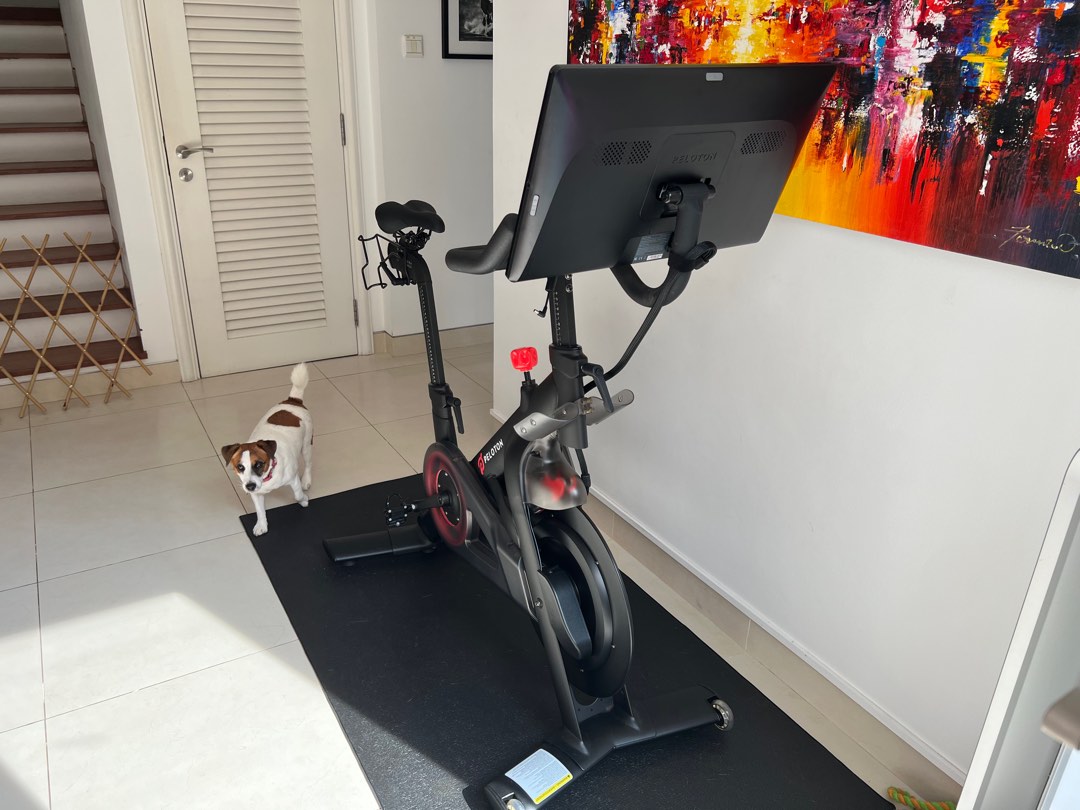 Peloton Bike, Sports Equipment, Exercise & Fitness, Cardio & Fitness ...