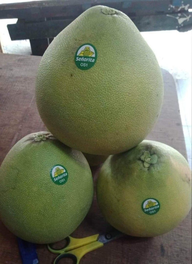 Pomelo Davao Food And Drinks Local Eats On Carousell