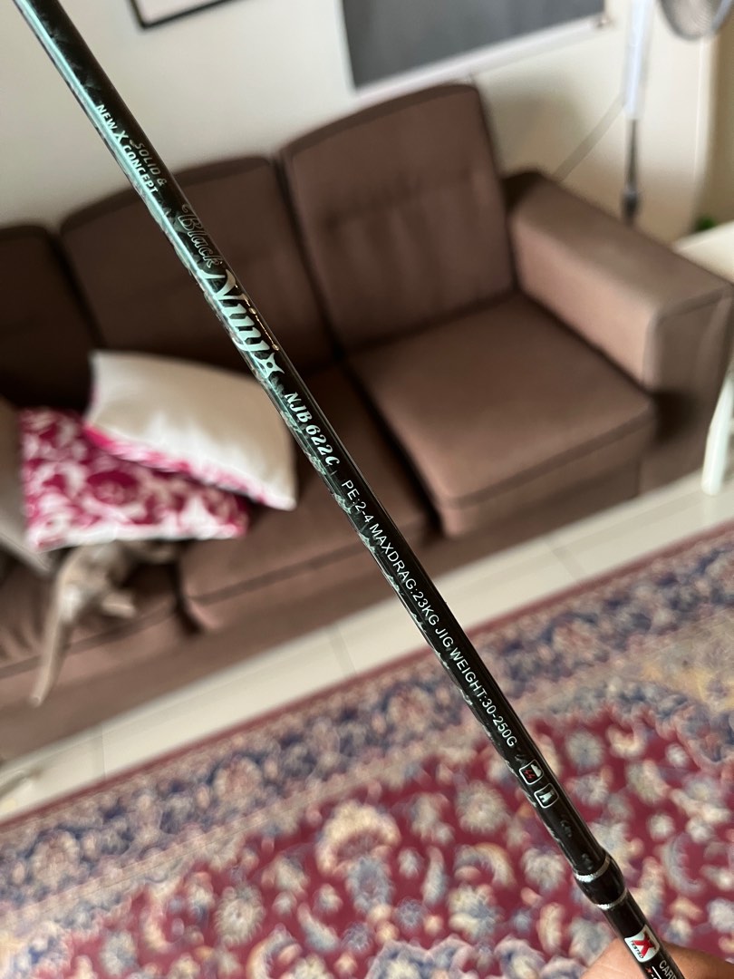 Rod Ninja Pe2-4, Sports Equipment, Fishing on Carousell