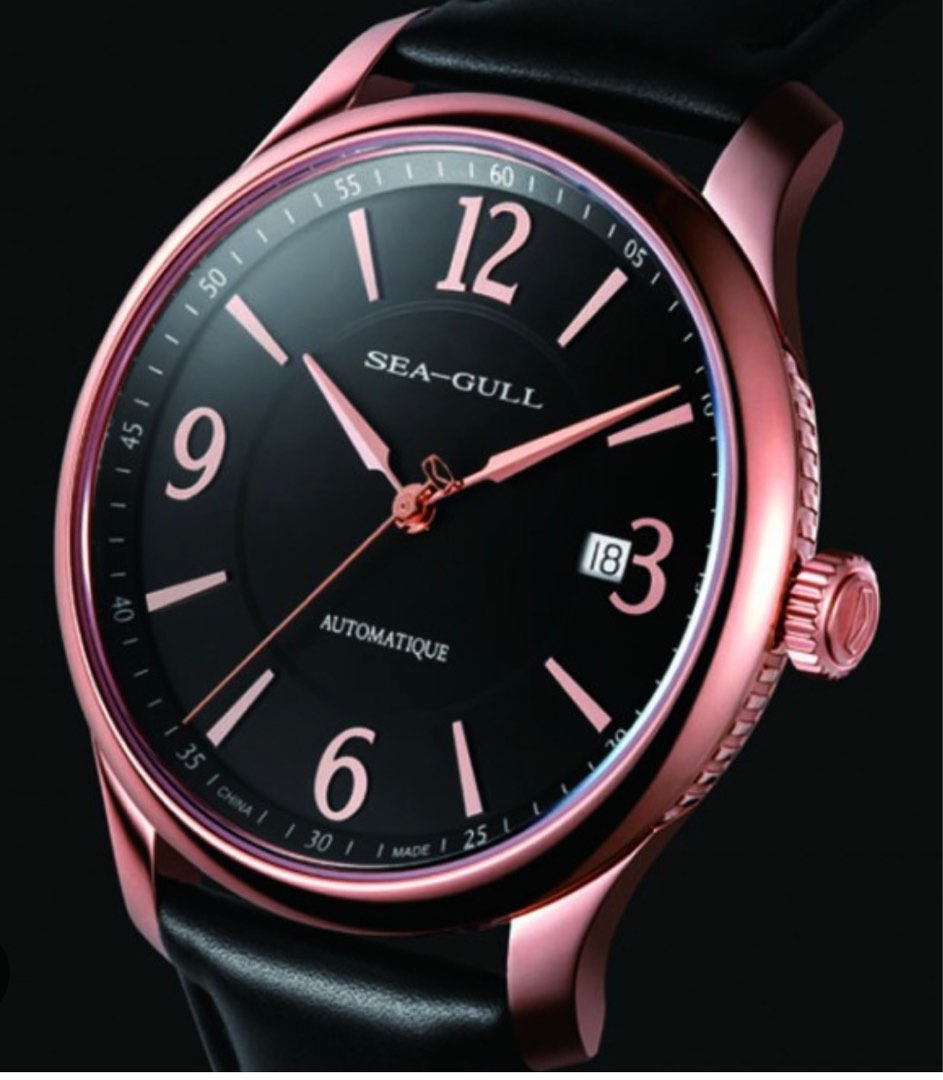 Seagull 519.420, automatic, Luxury, Watches on Carousell